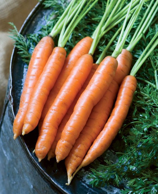 What We Grow — Eden Ridge Acres