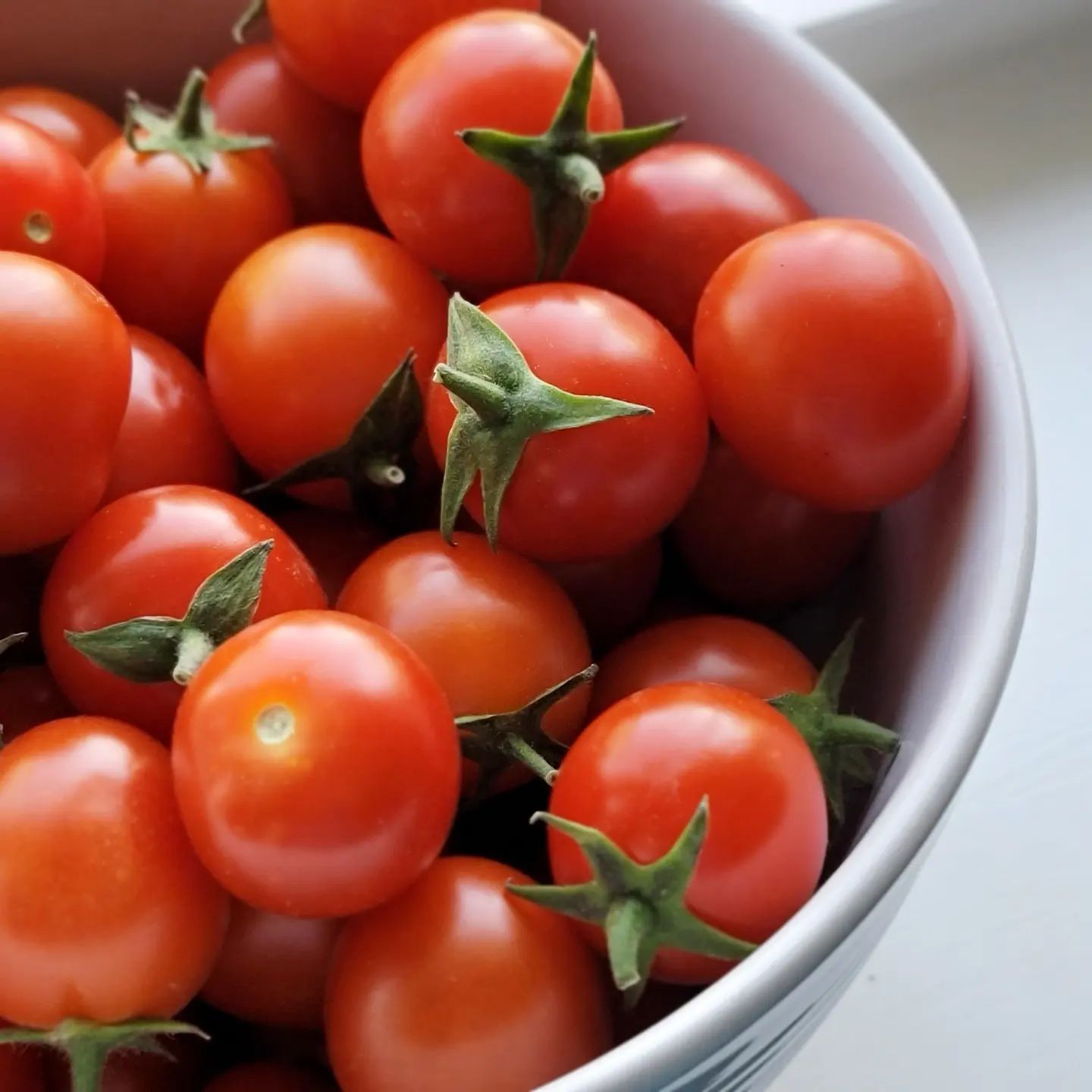 Tomato (Snackers) — Eden Ridge Acres