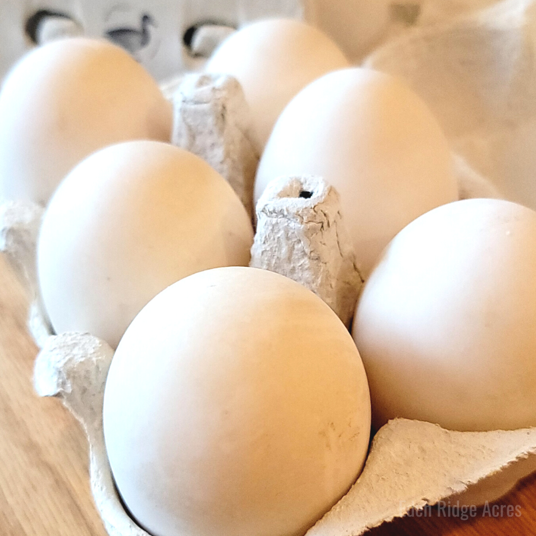 Pasture-Raised Duck Eggs (1/2 doz) — Eden Ridge Acres