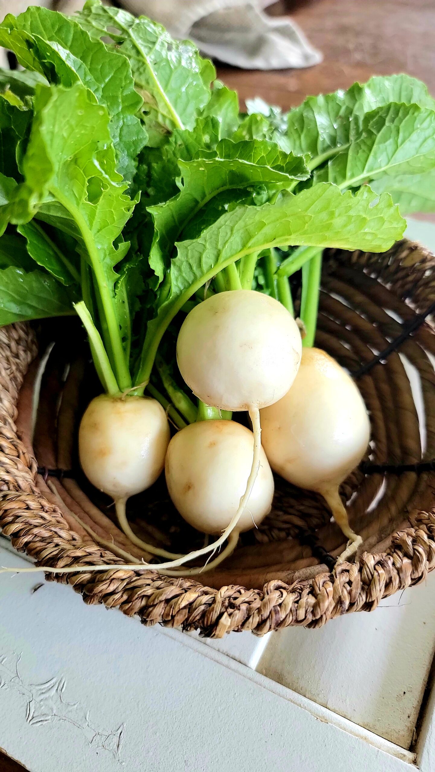 Turnips (White Vintage) — Chemical-Free Produce, Raw Milk & Honey ...